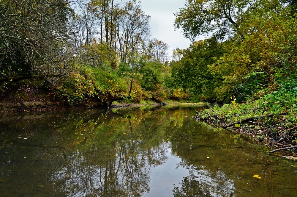 Compton Bridge Conservation Area — Otsego Land Trust