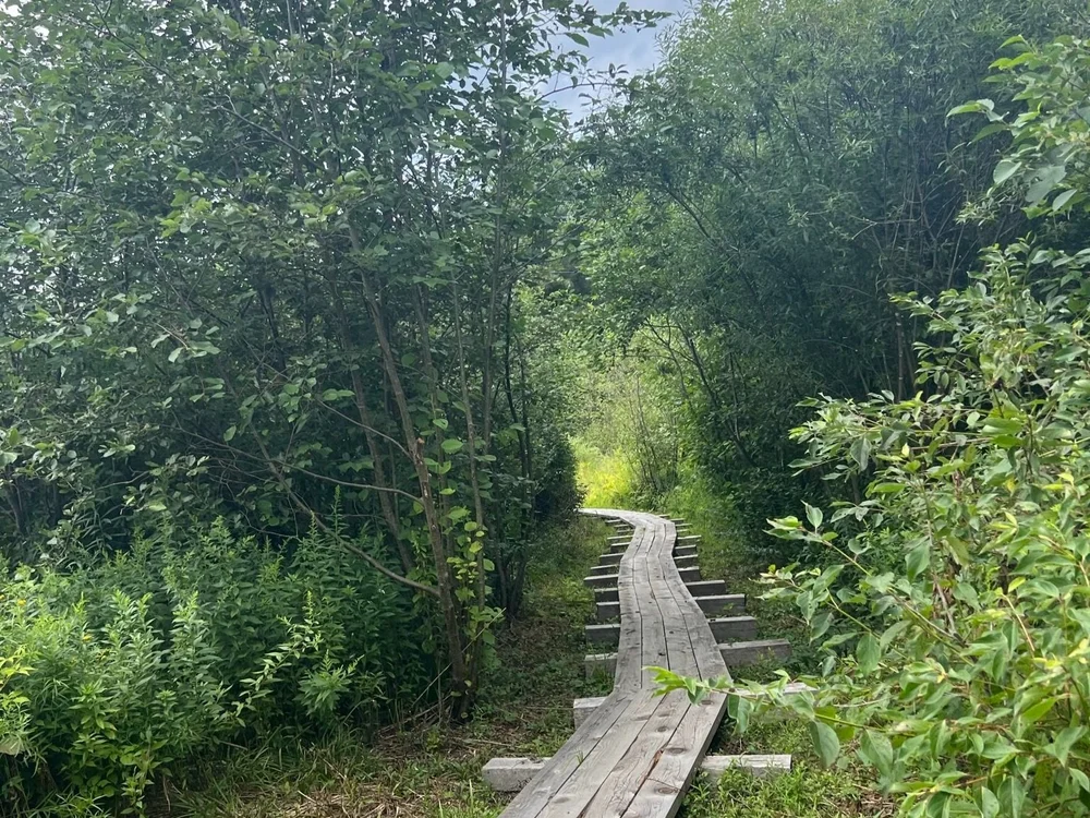 Otsego Land Trust