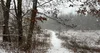 Parslow Road Conservation Area — Otsego Land Trust