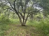 Parslow Road Conservation Area — Otsego Land Trust
