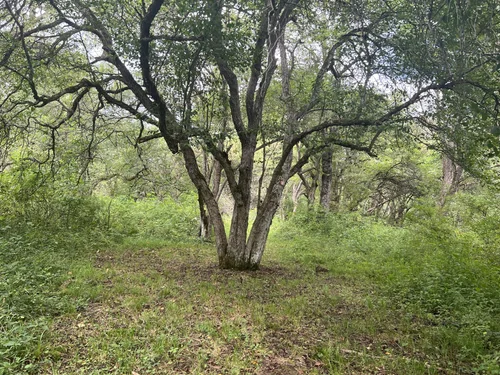 Parslow Road Conservation Area — Otsego Land Trust
