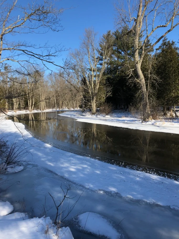 Parslow Road Conservation Area — Otsego Land Trust