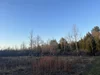 Parslow Road Conservation Area — Otsego Land Trust
