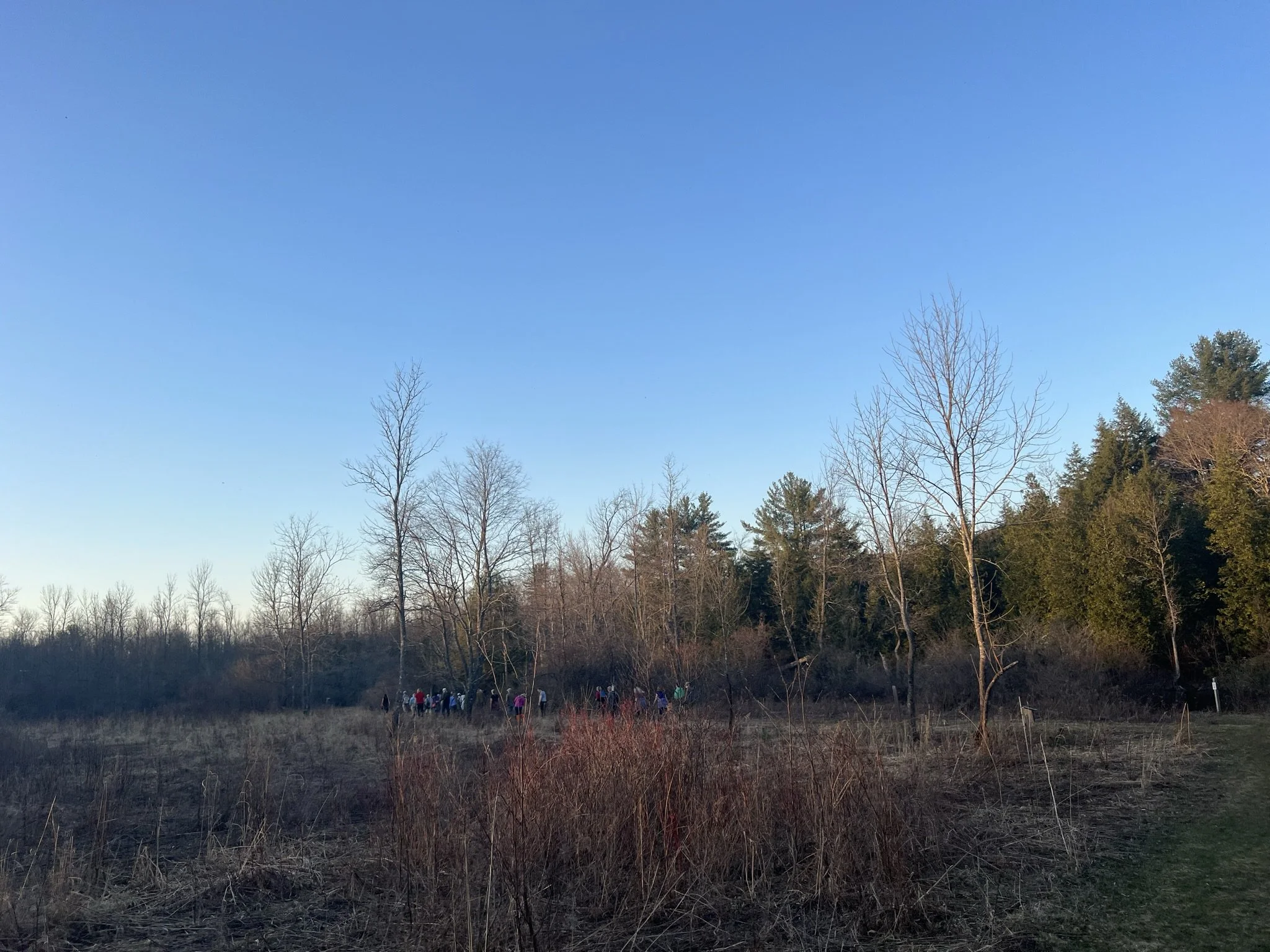 Parslow Road Conservation Area — Otsego Land Trust