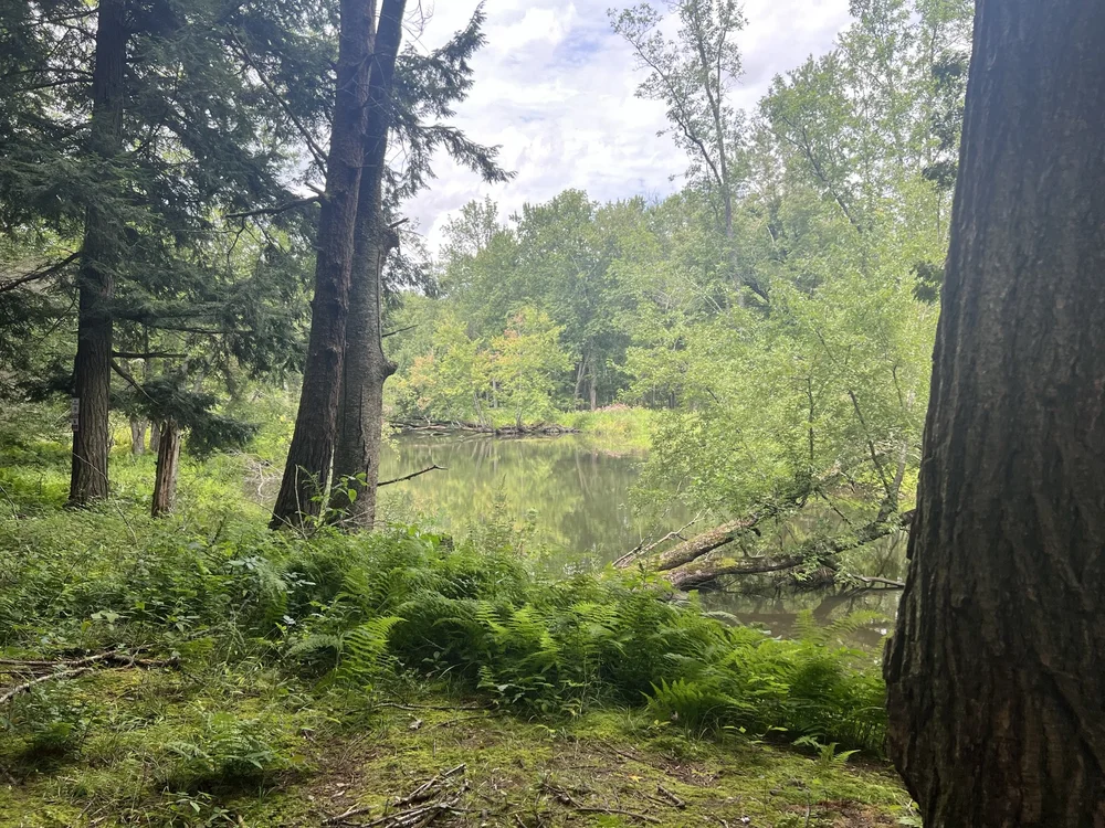 Otsego Land Trust