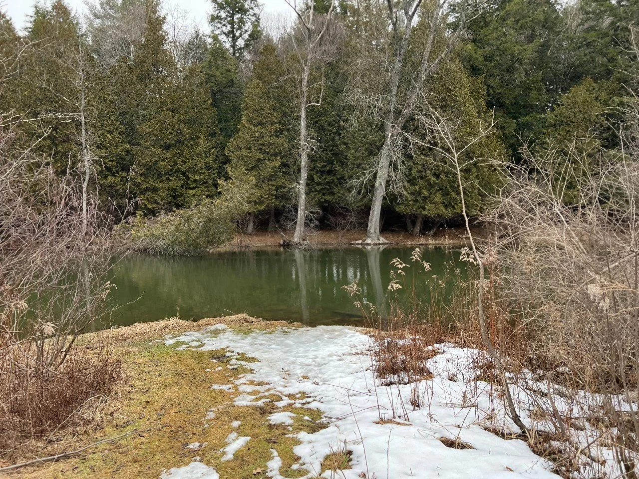 Parslow Road Conservation Area — Otsego Land Trust