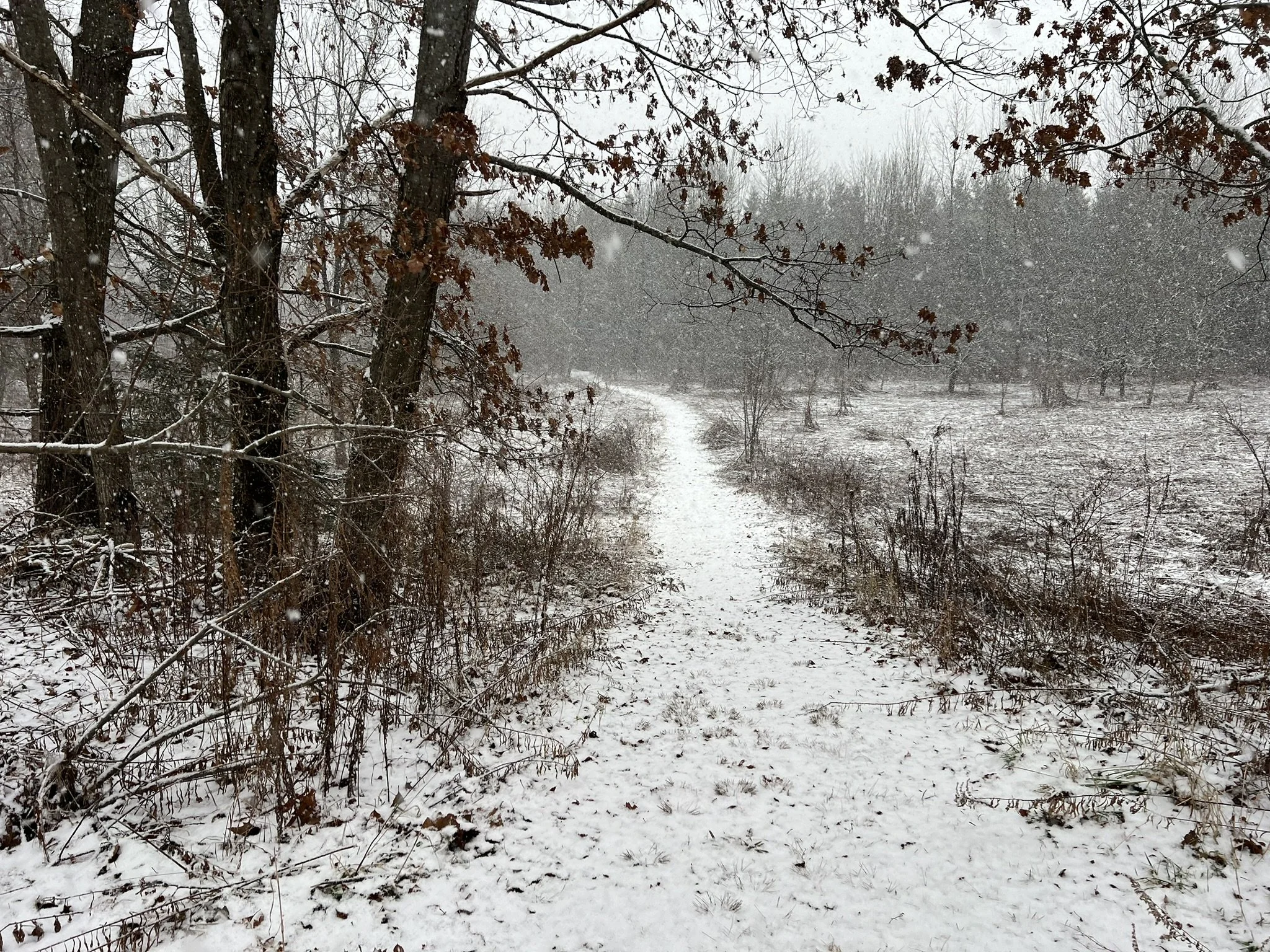 Parslow Road Conservation Area — Otsego Land Trust