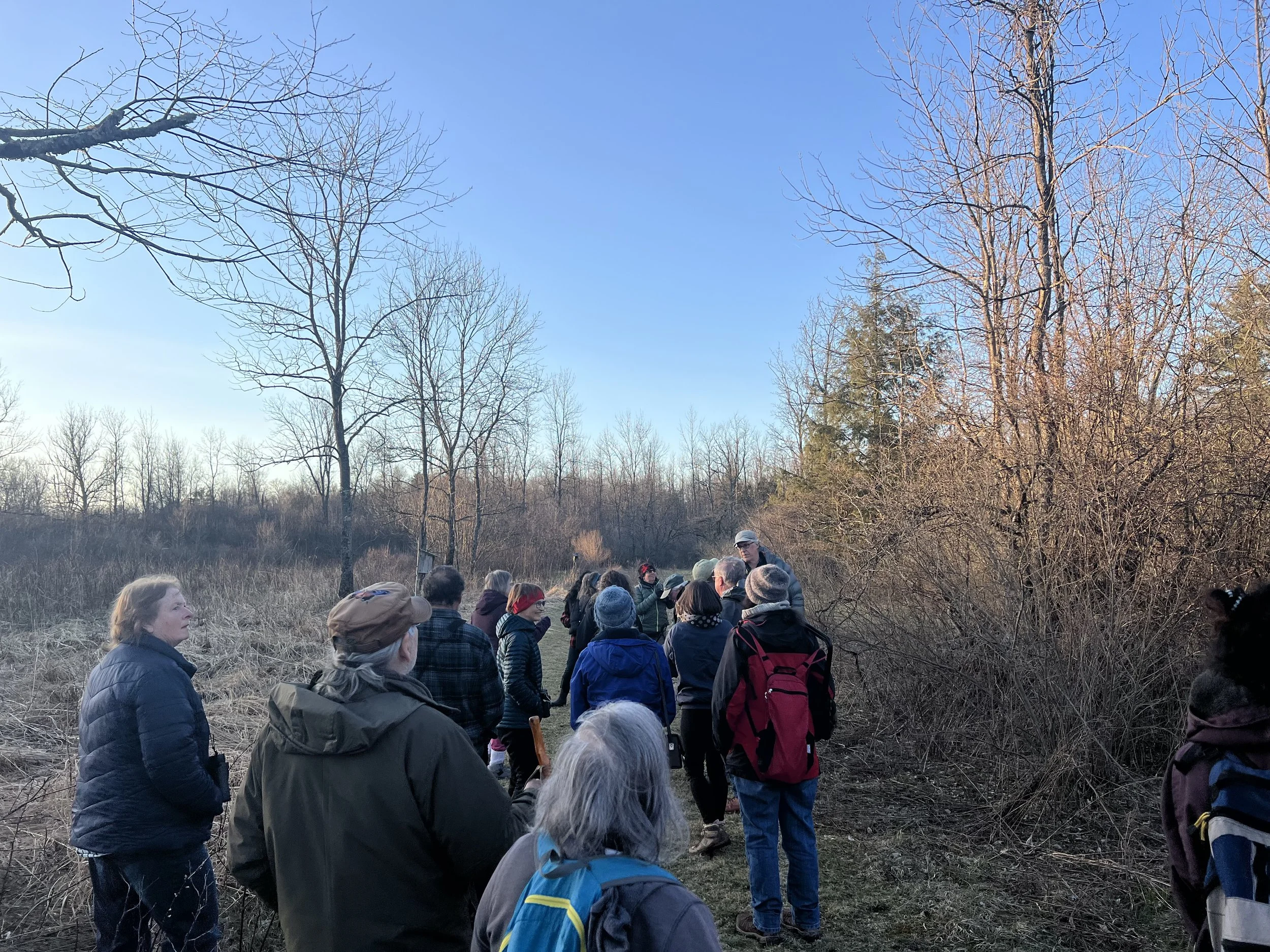 Parslow Road Conservation Area — Otsego Land Trust
