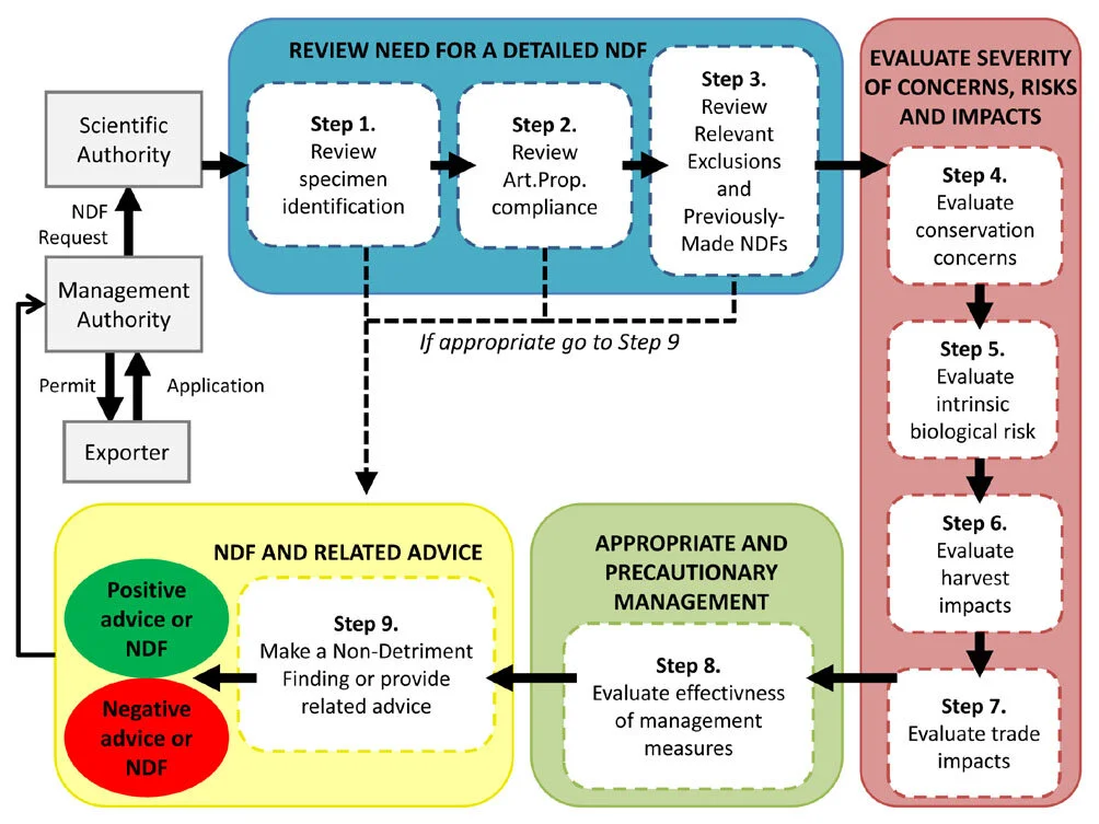 About the 9 Steps — 9-step NDF Guidance