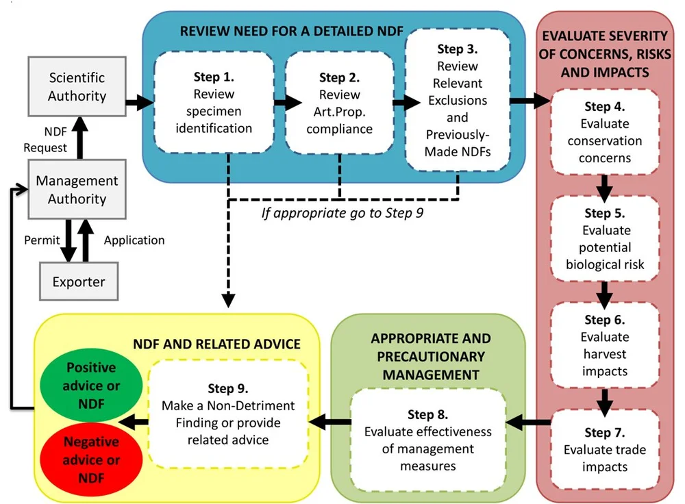 About the 9 Steps — 9-step NDF Guidance