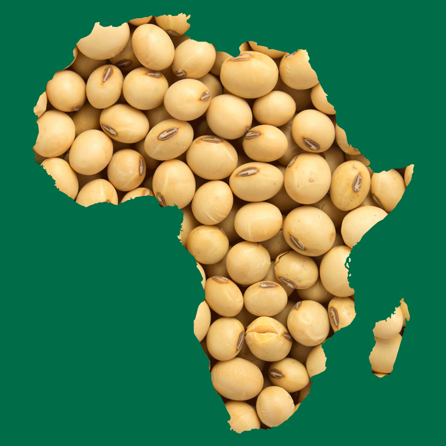 About Us — Dani Foods Africa