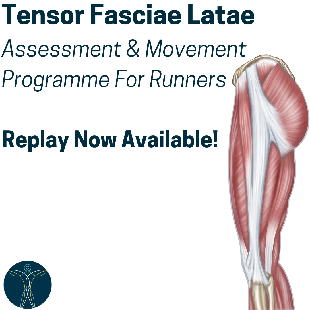 Tensor Fasciae Latae: Assessment and Movement Programme - Replay — Tom ...