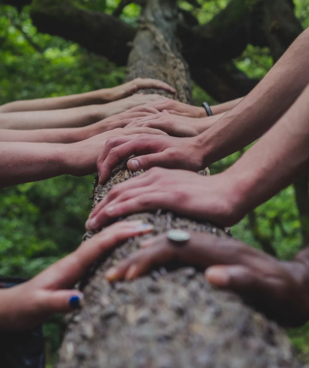 Culture — Cobec Consulting