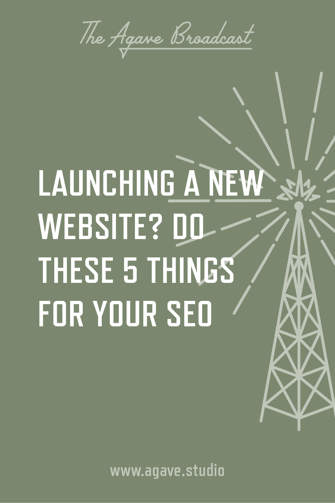 Do These 5 Things When You Launch A New Website — Agave Studio
