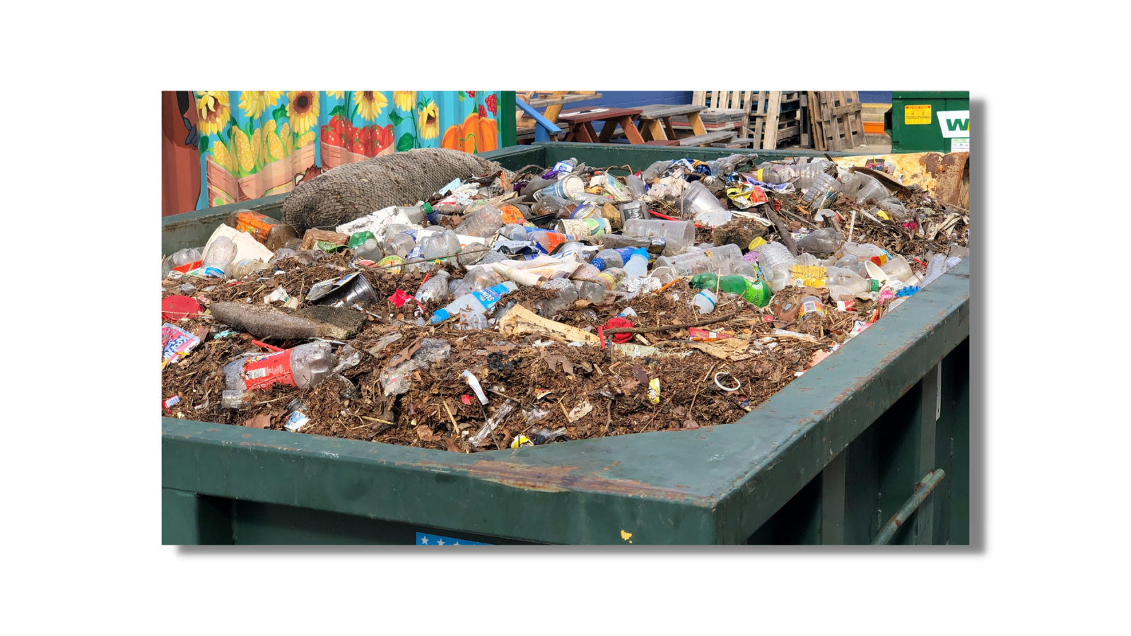 Talking Trash: Baltimore & Toronto — Trash Free Maryland