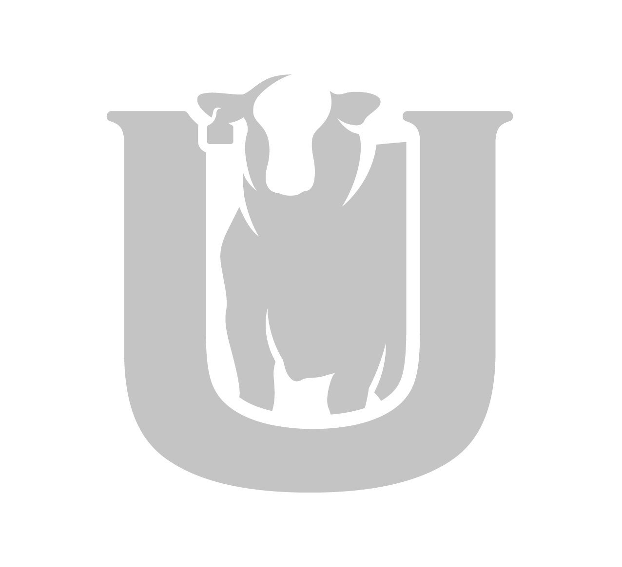 Contact Us — KRose Company