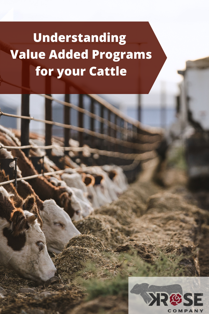 Adding Value to your Cattle — KRose Company