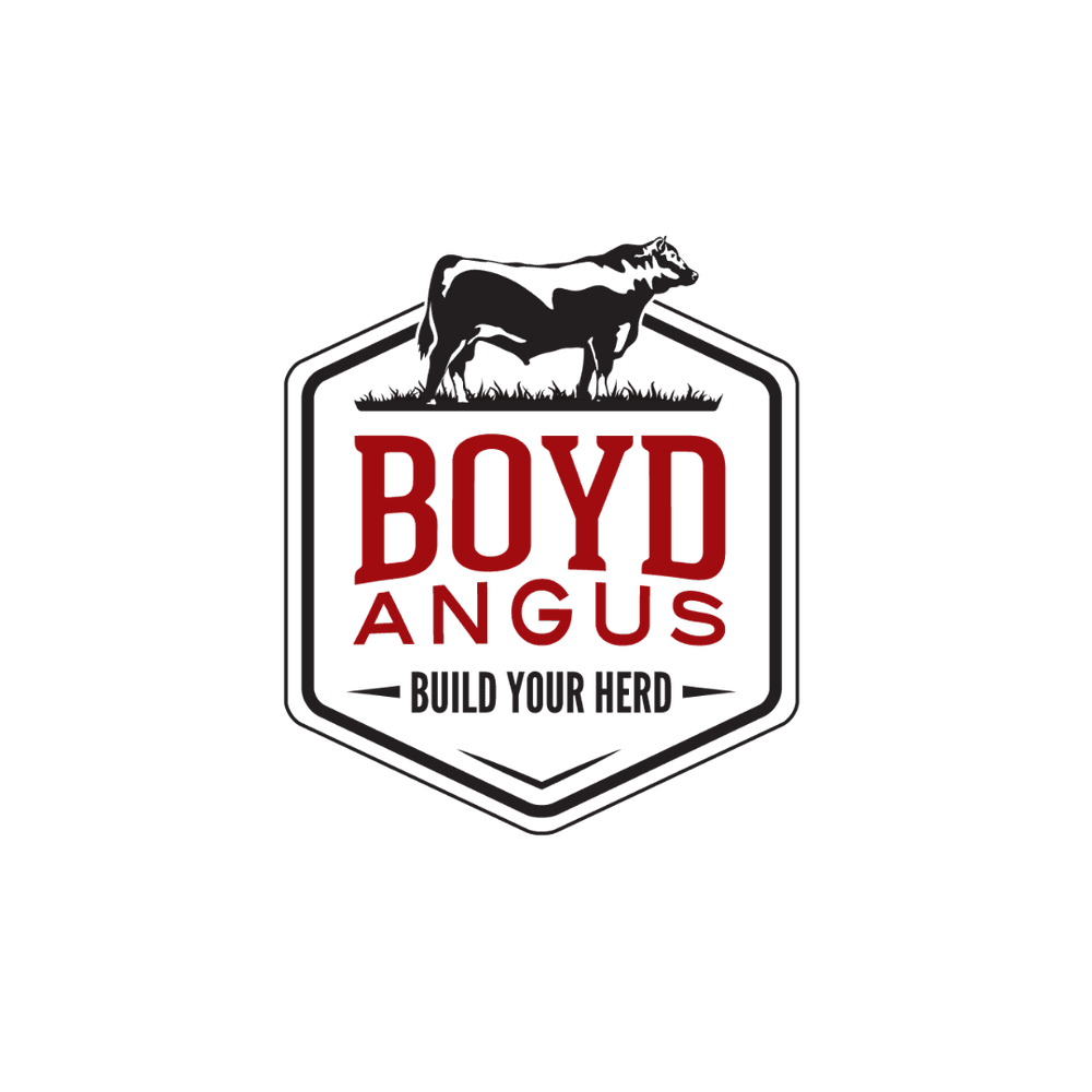 Sales We Represent — KRose Company