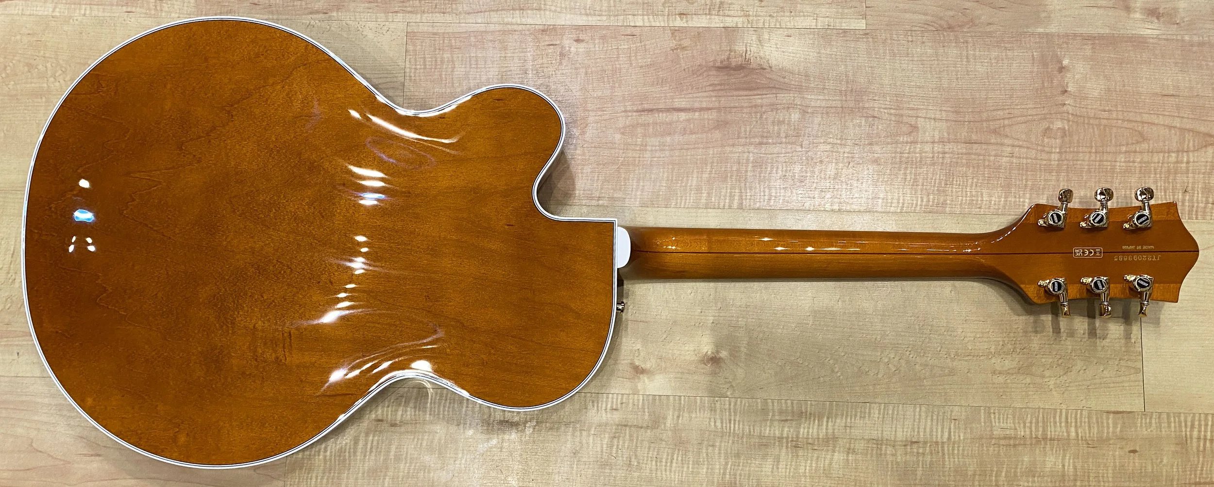 Acoustic Guitar With Bigsby