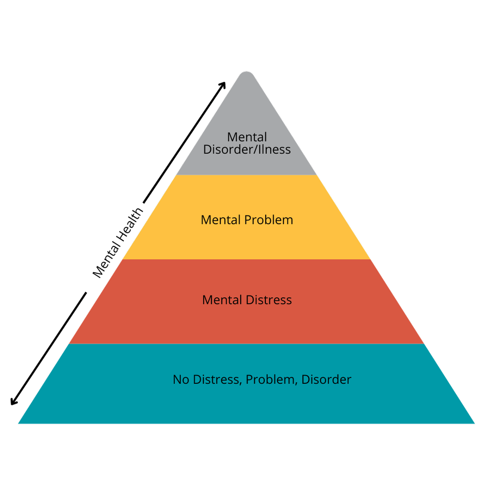 Important Terms and Understanding Mental Health — Mental Health ...