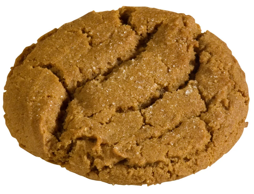 Gingerbread Cookie Texture