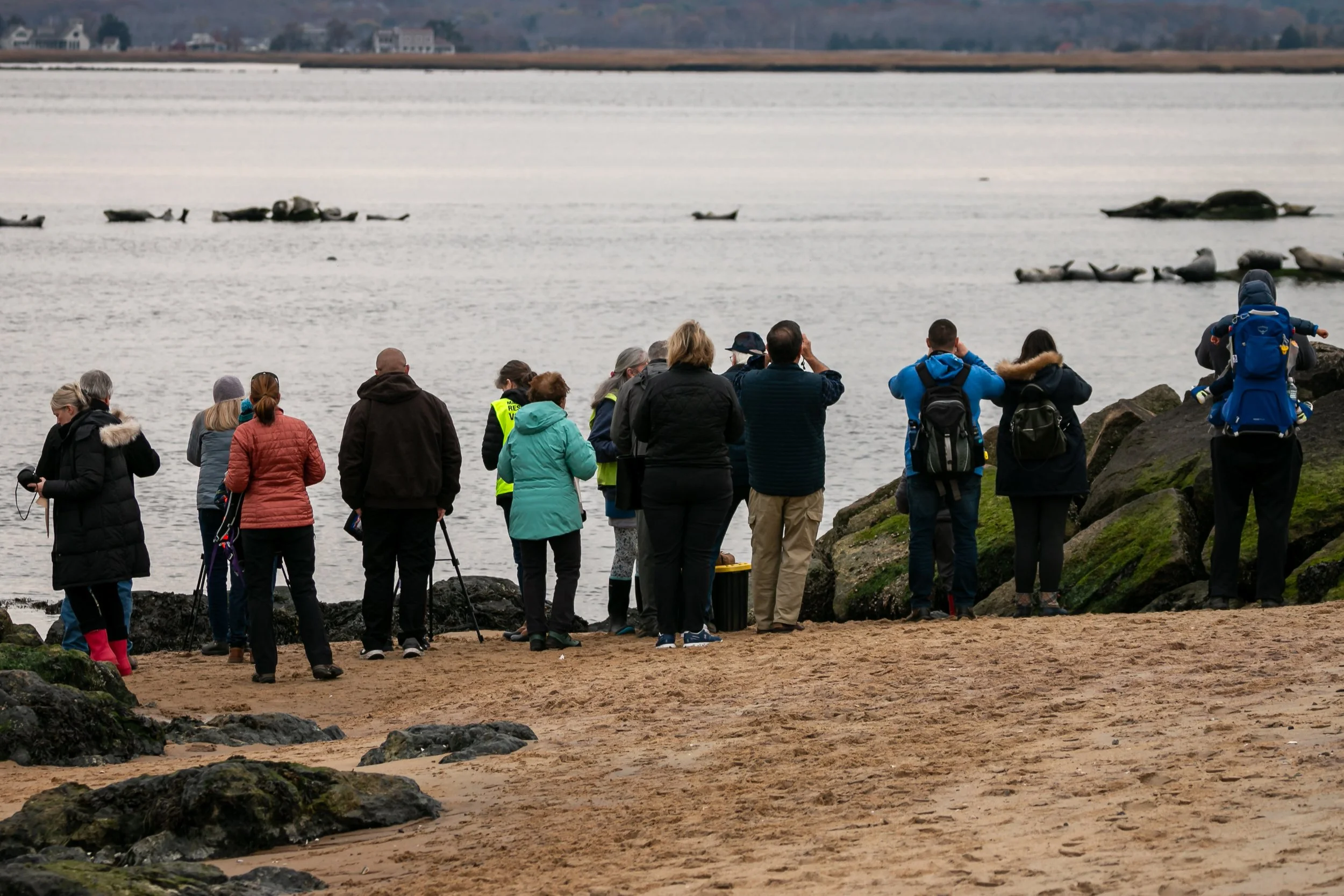 General 4 — Northwest Atlantic Seal Research Consortium