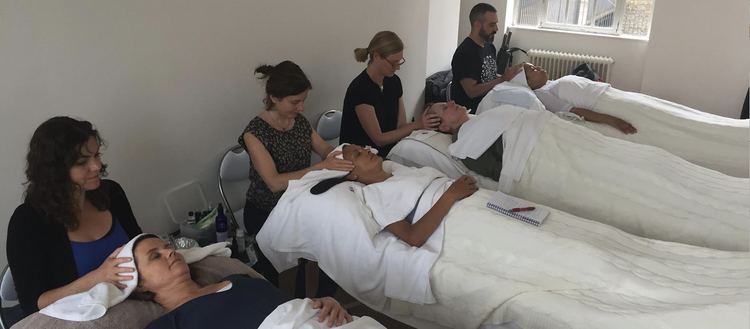 Ziggie Bergman Facial Reflexology + Gua Sha Training — Zone Face Lift