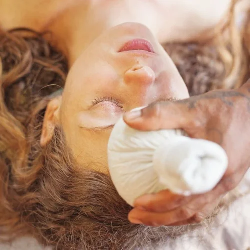 Ziggie Bergman Facial Reflexology + Gua Sha Training — Zone Face Lift