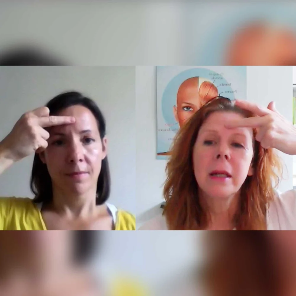 Online+Zoom — Zone Face Lift