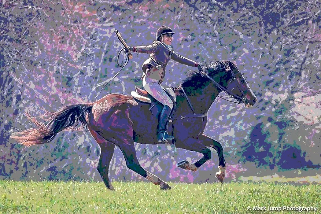 Vixen Hunt — Bull Run Hunt