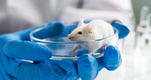 Is the end of animal experimentation near? — Animal Liberation ...