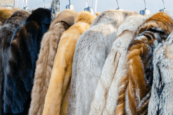 Fur Production — Animal Liberation | Compassion without compromise