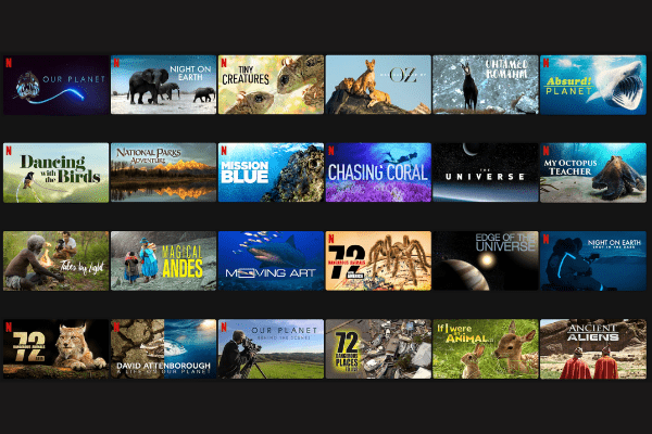All About Animals in Entertainment — Animal Liberation | Compassion ...