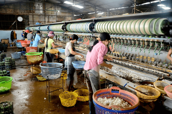 Is silk ethical? — Animal Liberation | Compassion without compromise