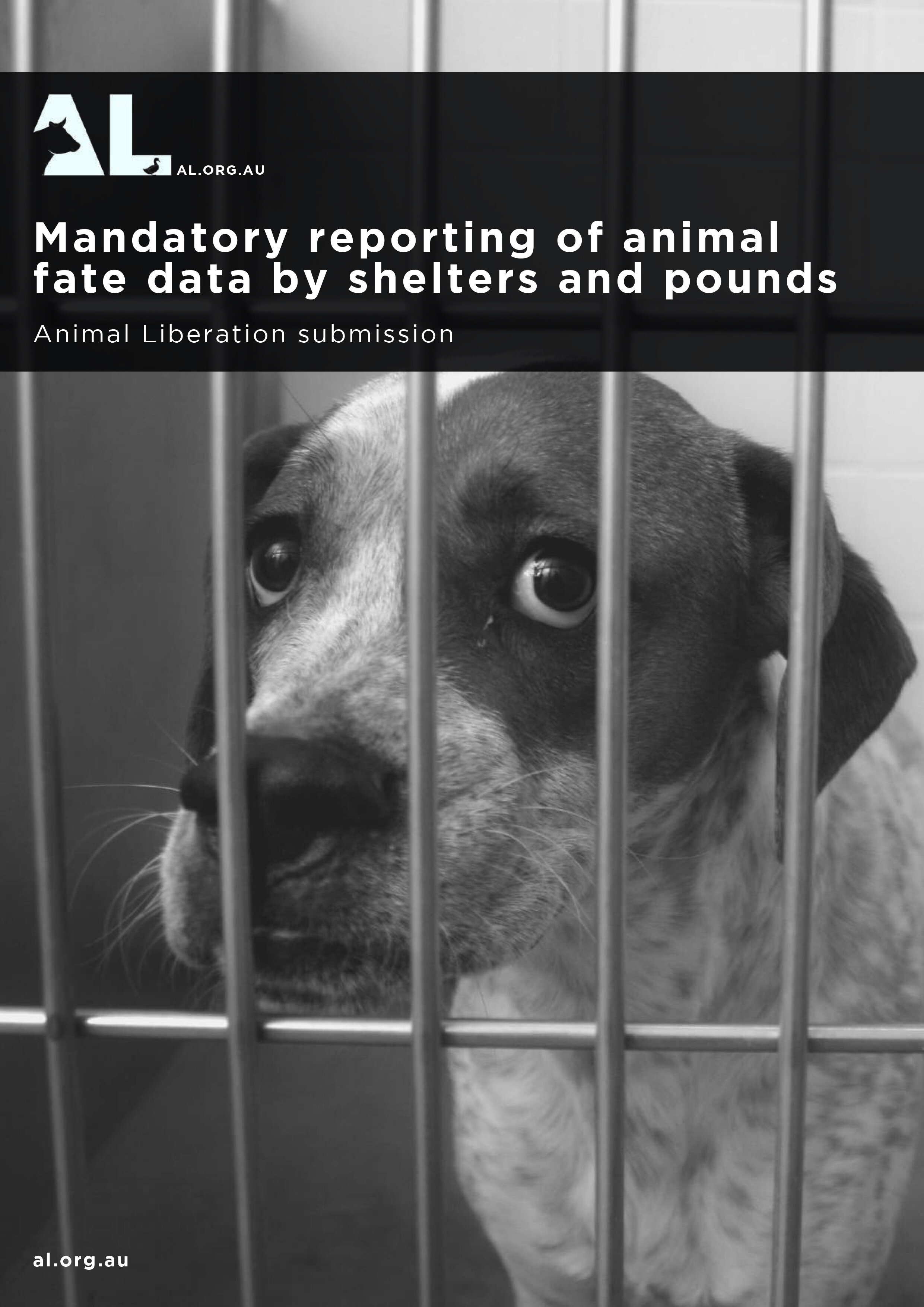 Submissions — Animal Liberation | Compassion without compromise