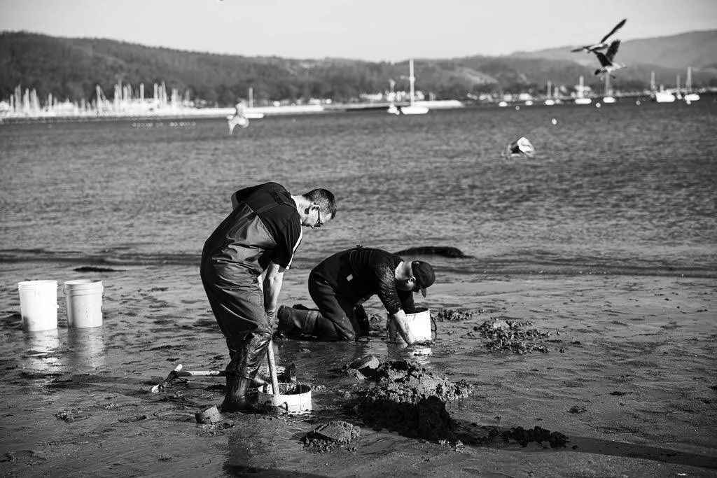 Tours and expeditions — Sea Forager