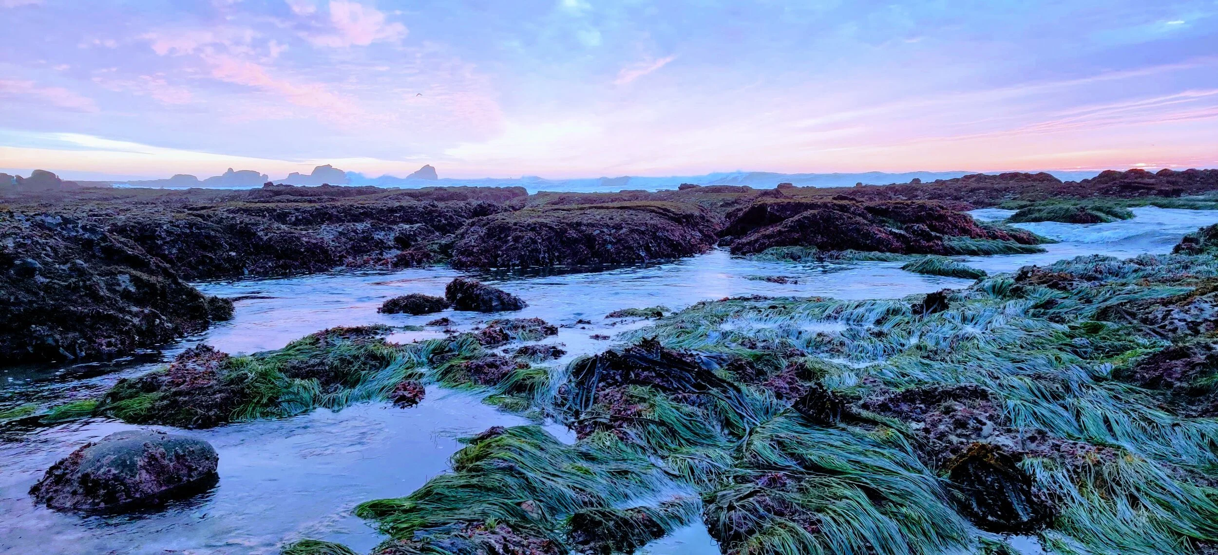 Tours and expeditions — Sea Forager