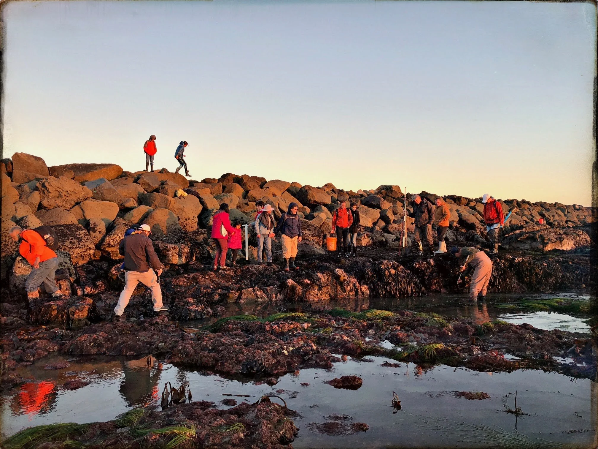 Tours and expeditions — Sea Forager