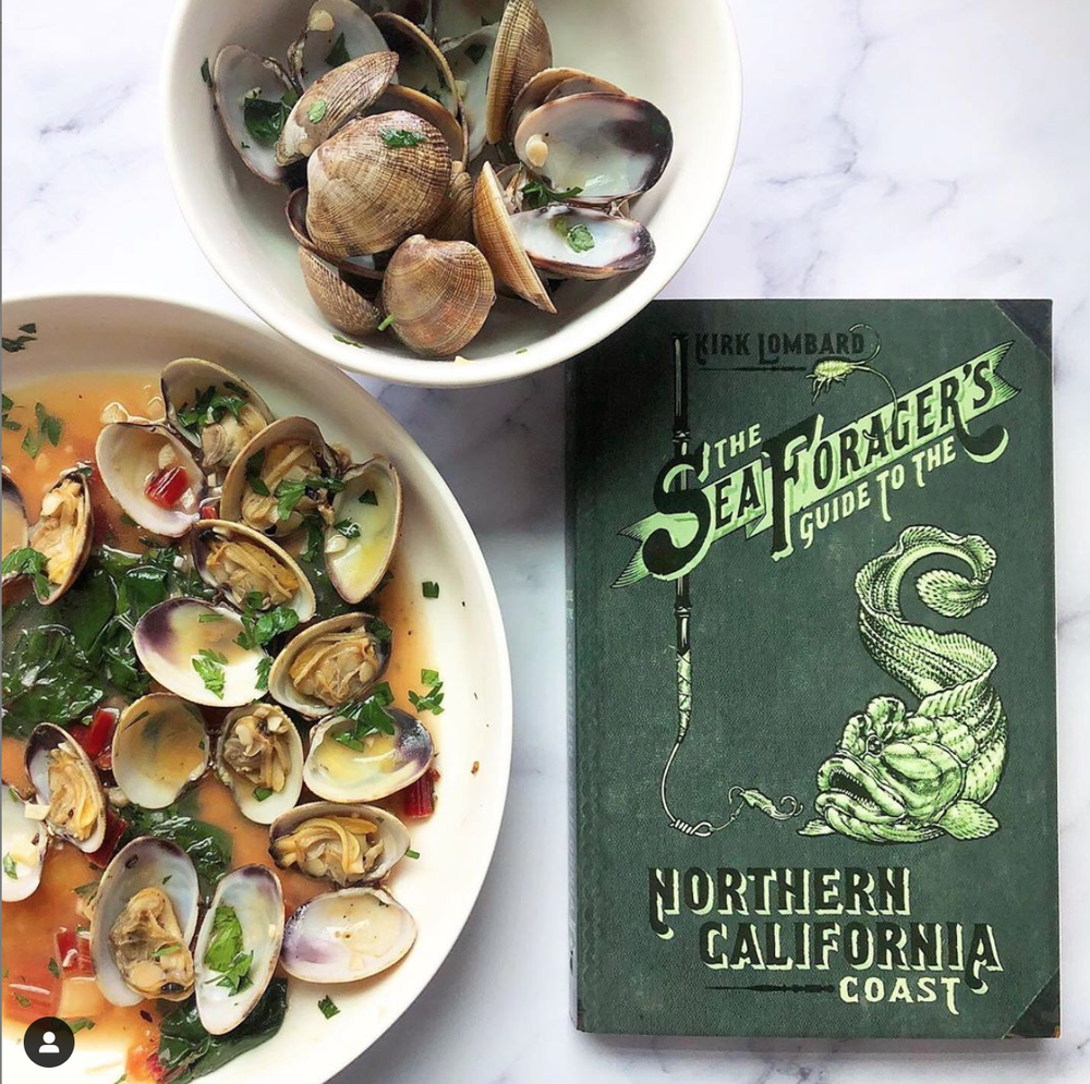 The first foraging guide for the California coast — Sea Forager