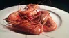 Coonstriped Shrimp — Sea Forager