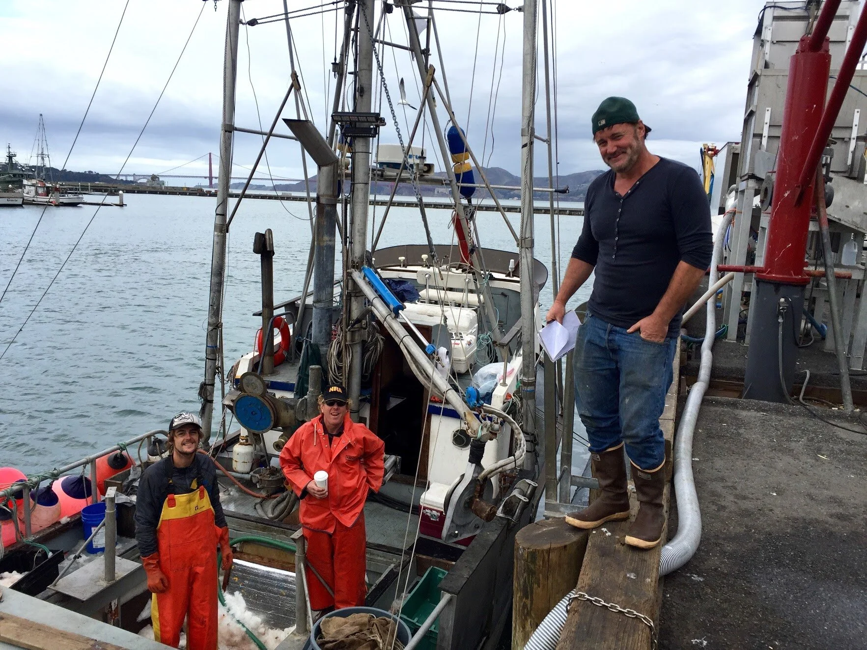 Coonstriped Shrimp — Sea Forager