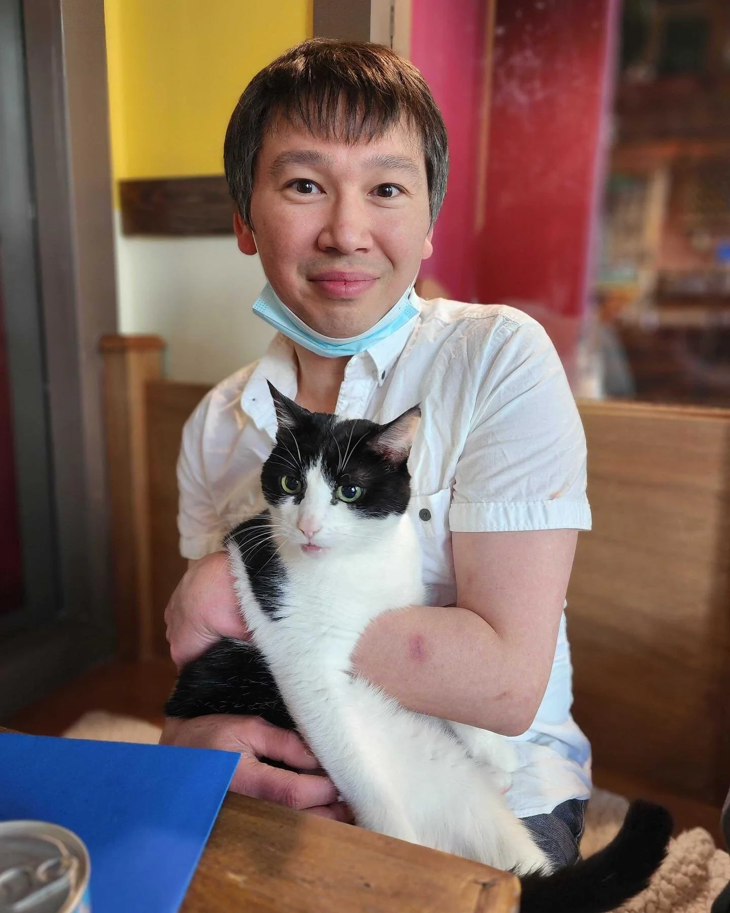 Seattle Meowtropolitan