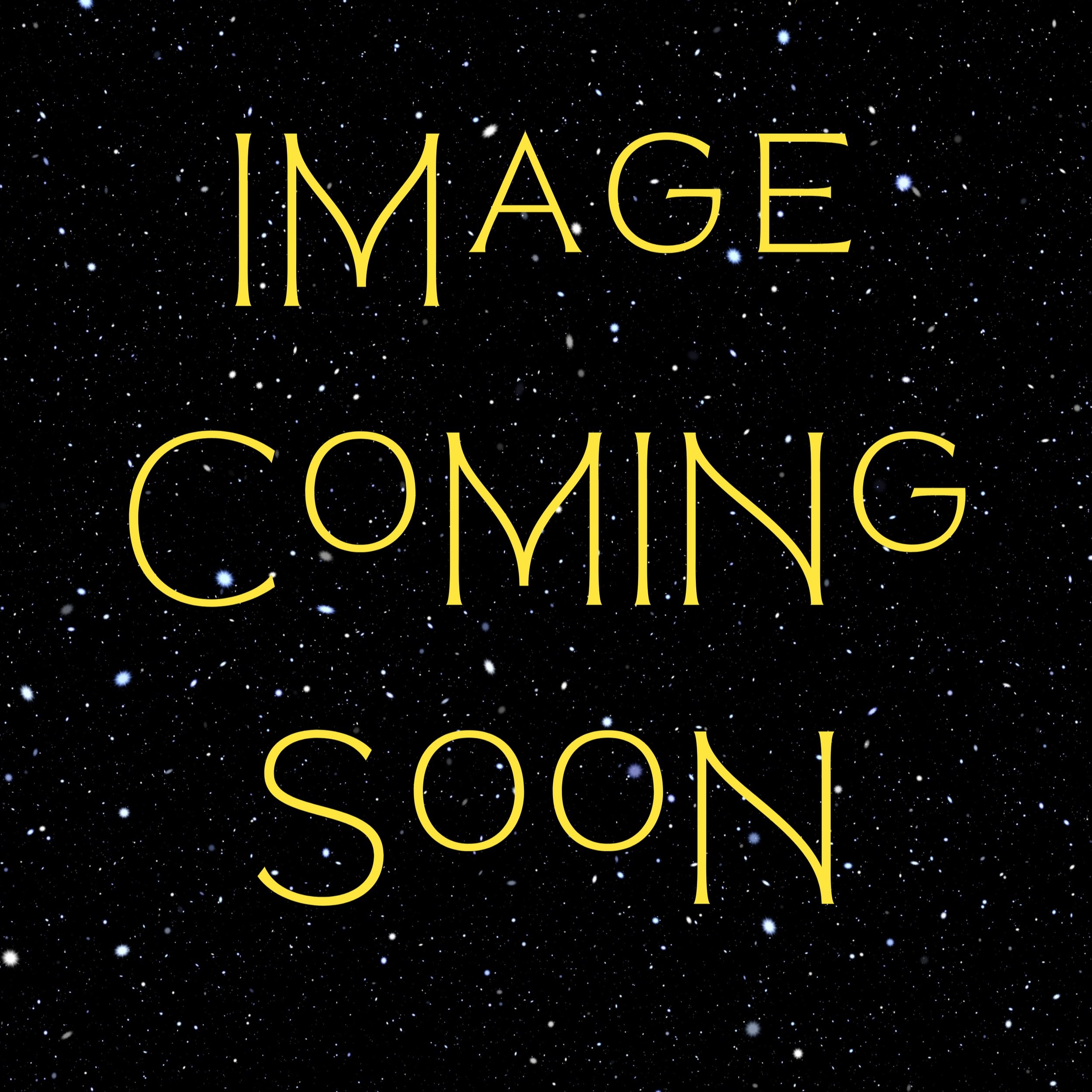 General 2 — Sara Ruch, Author