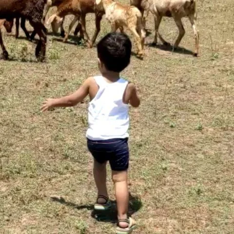 Hydra Dermatology - By Dr. Shwetha Rahul