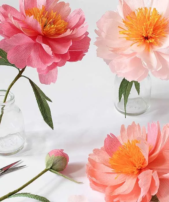 Paper Flower Workshops UK — A PETAL UNFOLDS