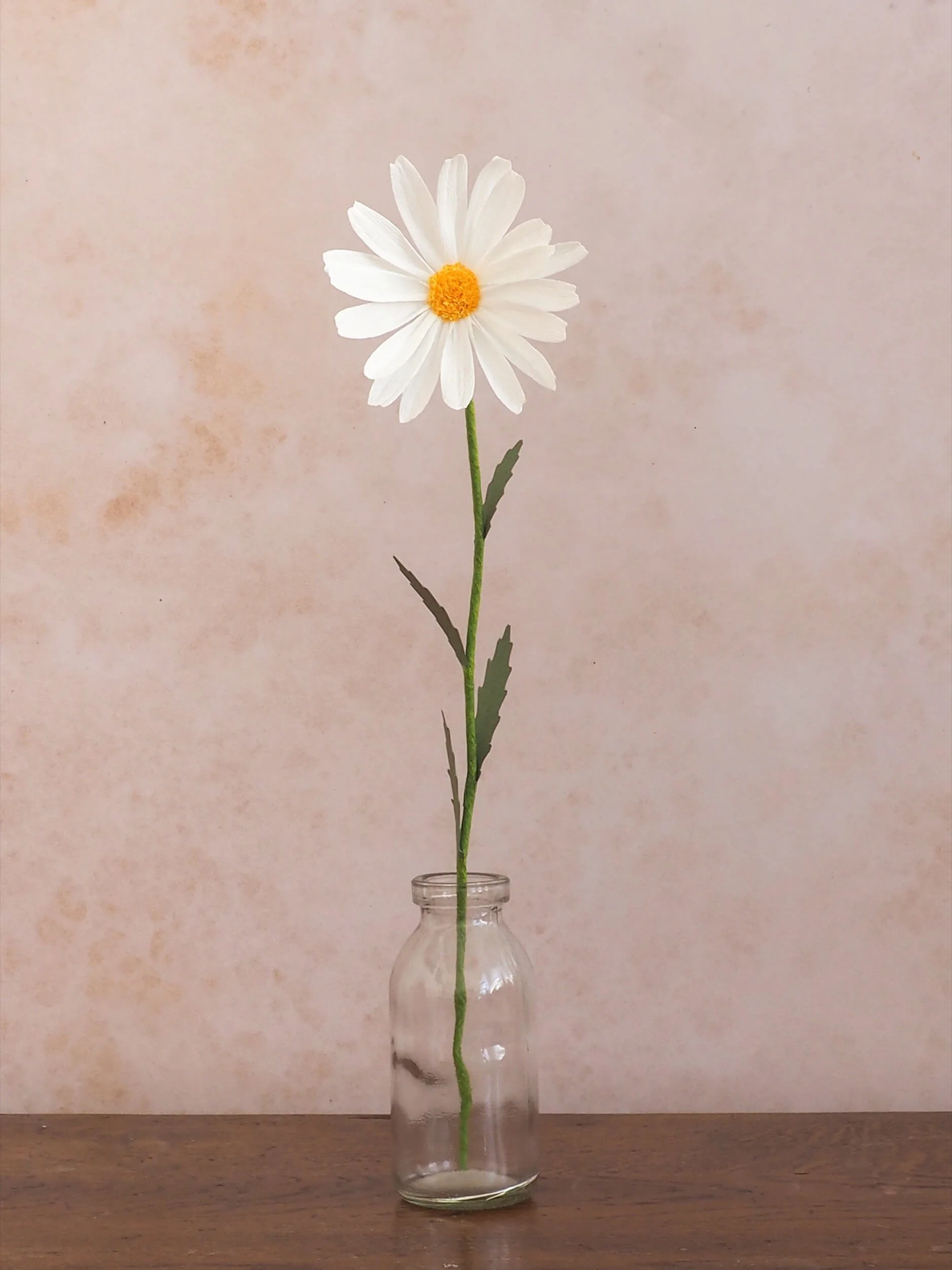 Single Daisy Flower With Stem