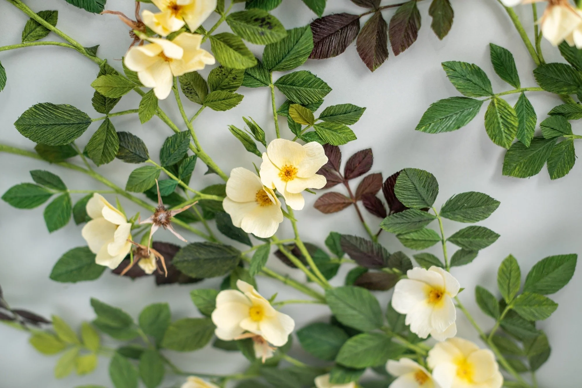 A PETAL UNFOLDS | Paper Flowers & Botanical Artwork | UK