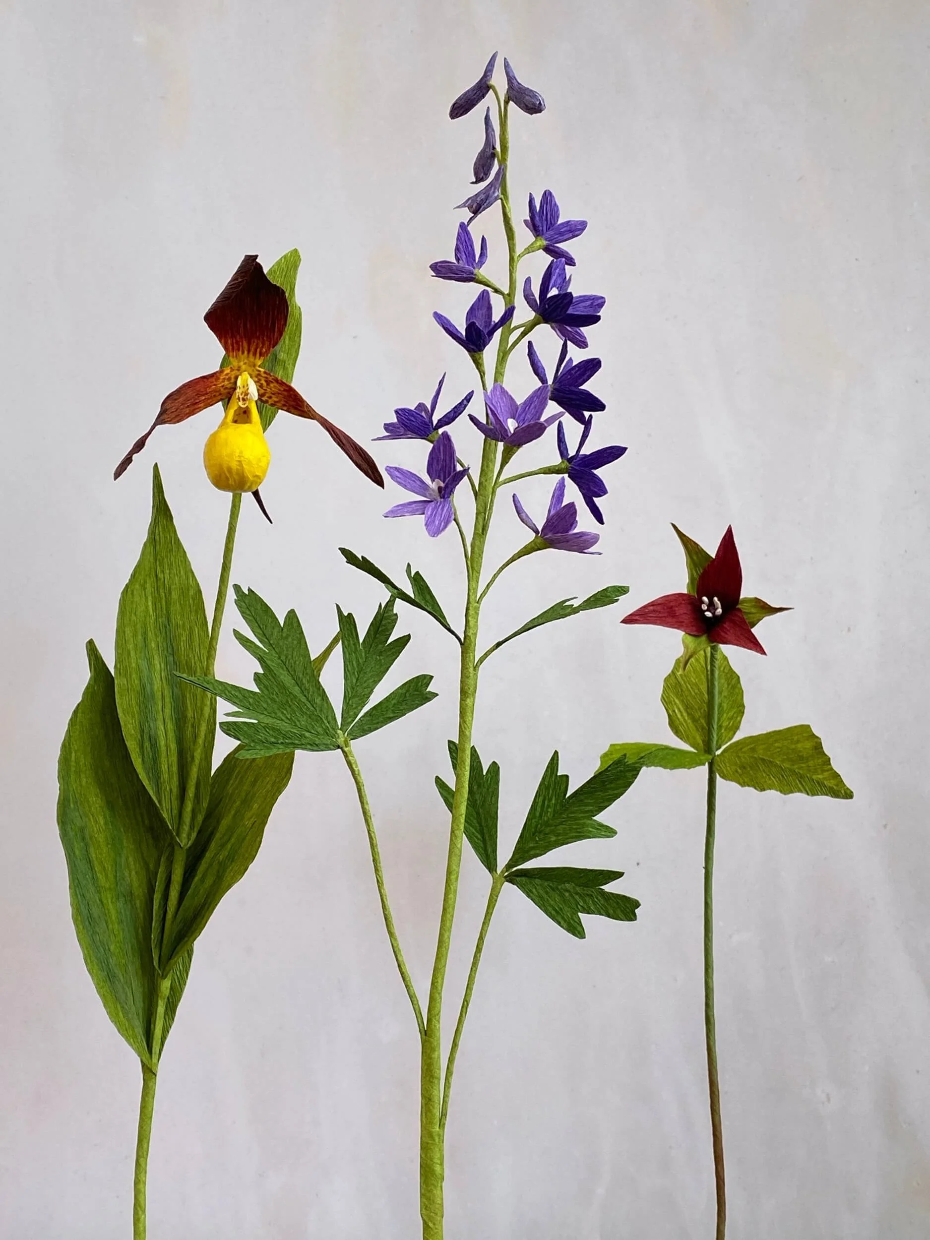 A PETAL UNFOLDS | Paper Flowers & Botanicals | UK