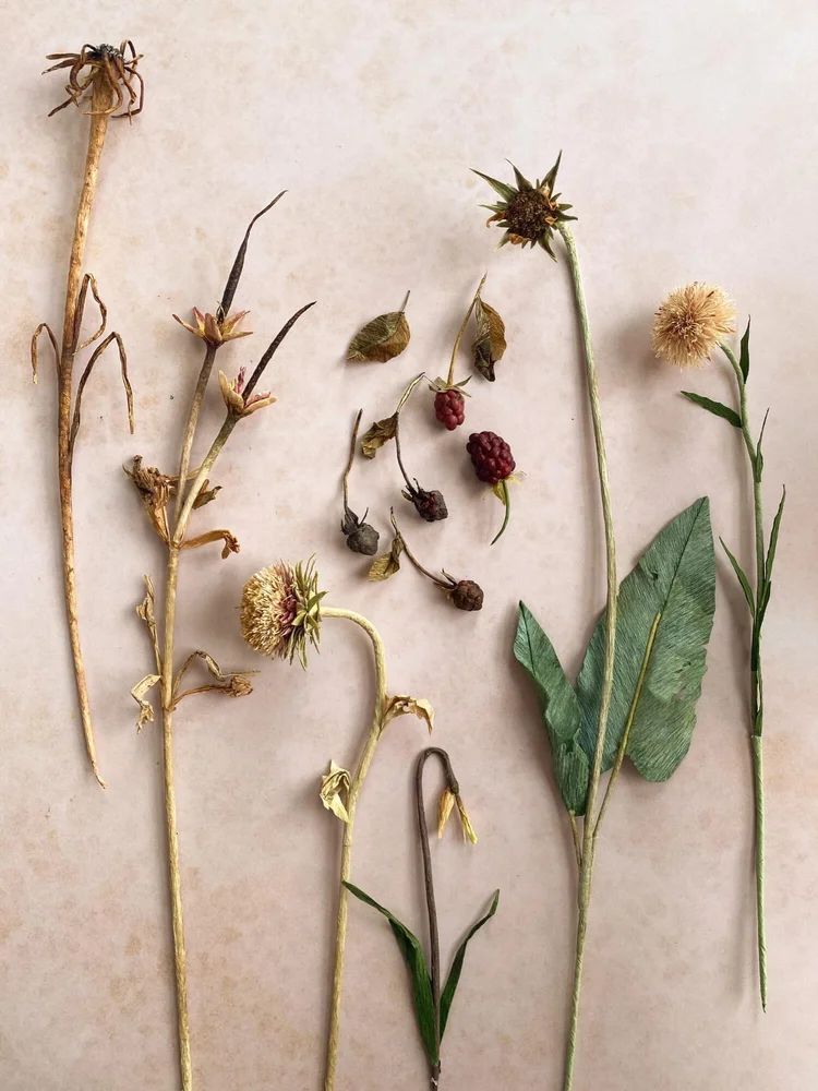 Commissions for Paper Flowers — A PETAL UNFOLDS