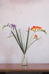 A PETAL UNFOLDS | Paper Flowers & Botanicals | UK